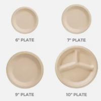 China 10 Inch Pulp Plate Sugarcane Bagasse Tableware for sale