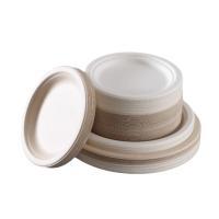 China 10 Inch * 3Gird  Bagasse Round Plate Compostable Sugarcane Plates for sale