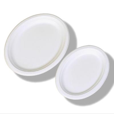 China Oval Shaped Pulp Plate Disposable Sugarcane Bagasse Plates Freezer Safe for sale