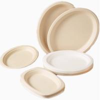 China Oval Shaped Pulp Plate Disposable Sugarcane Bagasse Plates Freezer Safe for sale