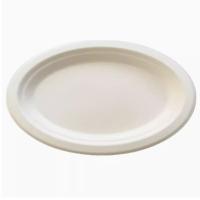 China Oval Shaped Pulp Plate Disposable Sugarcane Bagasse Plates Freezer Safe for sale