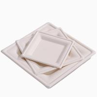China 8 Inch Bagasse Square Plates Large Disposable Dinner Plates Water Resistant for sale