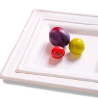 China Microwavable 10 Inch Square Paper Plates Disposable Bagasse Plates Compostable for sale