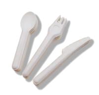 China Eco Friendly Sugarcane Disposable Cutlery Pulp Knife Food Safe for sale
