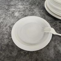 China Greaseproof Microwavable Biodegradable Food Container Disposable Bagasse Plate for sale
