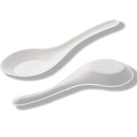 China Compostable Food Safe Bagasse Spoon Sugarcane Utensils Water  Resistant for sale