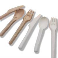 China Compostable Food Safe Bagasse Spoon Sugarcane Utensils Water  Resistant for sale