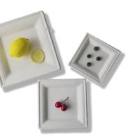 China 6 Inch Disposable Bagasse Compostable Square Paper Plates Large Square Dinner Plates Biodegradable for sale