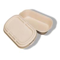 China 850ml Bagasse Takeaway Containers For Food Packaging In Restaurante for sale