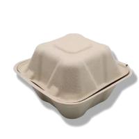 China Single Cell Bagasse Lunch Box Disposable Bagasse Food Container 8 Inch for sale