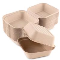 China Single Cell Bagasse Lunch Box Disposable Bagasse Food Container 8 Inch for sale