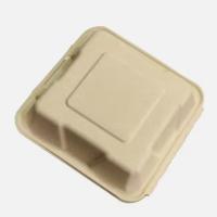China 8 Inch *3 Grid Pulp Lunch Box Disposable Biodegradable Take Away Food Box for sale