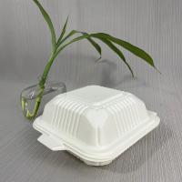 China Biodegradable food container disposable take away cornstarch clamshell food lunch box for sale