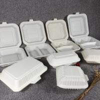 China Safe and environmentally degradable packaging box 600 ml food container for sale