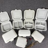 China Safe and environmentally degradable packaging box 600 ml food container for sale