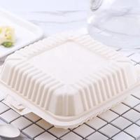 China Safe and environmentally degradable packaging box 600 ml corn starch food container for sale