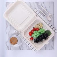 China Safe and environmentally degradable packaging box 600 ml corn starch food container for sale