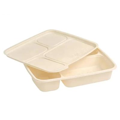China Storage and containers Eco-friendly biodegradable corn starch food containers bento boxes for sale