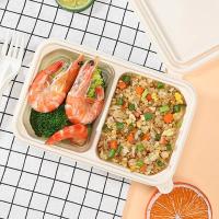 China 2 boxes with cover cornstarch lunch box disposable fast food packaging box wholesale for sale