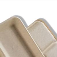 China 9Inch*6 Grid Pulp Lunch Box Eco Friendly Compostable Take Away Containers for sale
