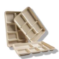 China 9Inch*6 Grid Pulp Lunch Box Eco Friendly Compostable Take Away Containers for sale