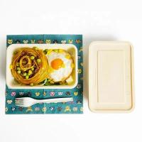 China Eco friendly Biodegradable Beige Color Corn Starch Disposable Takeaway Fast Food Container With lid for sale