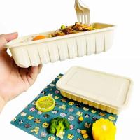 China 650ml capacity environmentally friendly biodegradable corn starch disposable fast food container with lid for sale