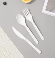 China CPLA Manufacture Disposable Fork Biodegradable Eco Friendly Cutlery Fork Sustainable for sale