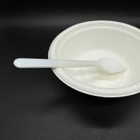 China 2 In 1 Classic Salad Spoon And Fork Customized Logo  CPLA Tableware Eco Friendly for sale