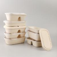 China OEM Bagasse Salad Bowl Environmentally Friendly Disposable Food Containers for sale