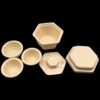 China Hexagonal Travel Compostable Disposable Tea Pot Corn Starch Tea Set Pot for sale