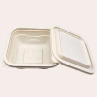 China Disposable Cornstarch Food Containers 350ML Lightweight  Microwave Safe for sale