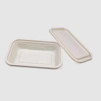 China Heat Resistance Eco Friendly To Go Containers Disposable Rectangle Food Container OEM for sale