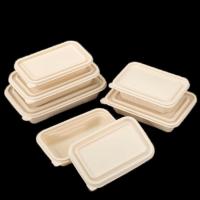 China Sustainable 500ML Biodegradable To Go Food Containers  Microwave Safe for sale