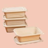 China Natural Color Compostable Lunch Containers Leak Proof 1000ML for sale