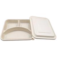 China Restaurant Clamshell Food Container Biodegradable Bento Box Heat Resistance for sale