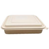 China Restaurant Clamshell Food Container Biodegradable Bento Box Heat Resistance for sale