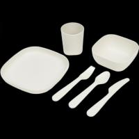 China Plastic PLA Biodegradable Disposable Tableware Environmental And Beautiful for sale