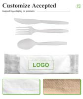 China 160mm CPLA Biodegradable Plastic Spoons for sale