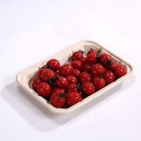 China Supermarket Bagasse Food Tray Disposable Food Grade Various Sizes Available for sale