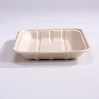 China Supermarket Bagasse Food Tray Disposable Food Grade Various Sizes Available for sale