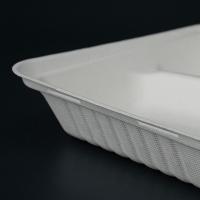 China 8 Inch Senvironmentally Friendly Disposable Food Containers Fda Approved for sale