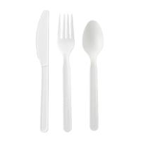 China Composatable Biodegradable Free Spoon For Party Restaurant CPLA Disposable Spoon for sale