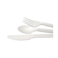 China Composatable Biodegradable Free Spoon For Party Restaurant CPLA Disposable Spoon for sale