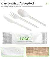 China Composatable Biodegradable Free Spoon For Party Restaurant CPLA Disposable Spoon for sale