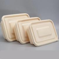China Heat Resistance Eco Friendly To Go Containers Disposable Rectangle Food Container OEM for sale