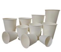China 8oz Biodegradable Single Layer Paper Cup And Lid For Eco-Conscious Businesses Sustainable Tableware for sale