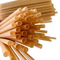 China Customized Smoothie Bagasse Drinking Straws Sugarcane Fiber Environmentally Friendly Material Bagasse Straws for sale