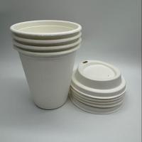 China Wholesale Eco Friendly Paper Pulp Cup 8oz Compostable Paper Cups For Beverages From China Source Factory Supplier for sale