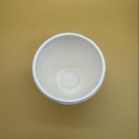China 12oz Disposable Biodegradable Paper Plup Cup And Lids For Takeaway Coffee Milk Drinks for sale